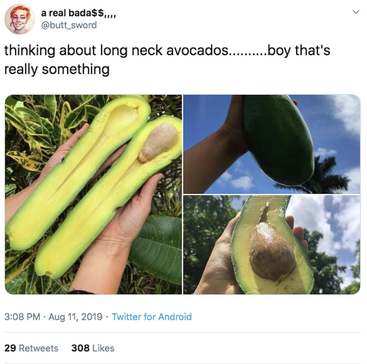 These giant avocados grown in Florida cost up to $15 each