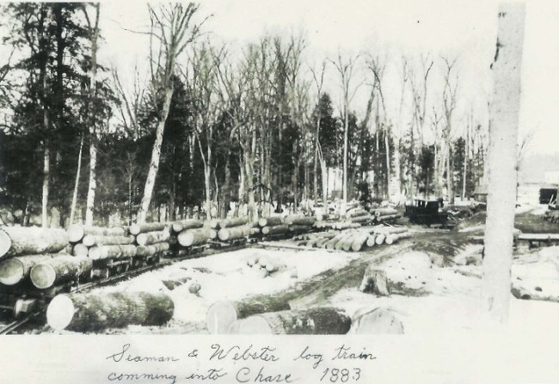 DAYS GONE BY: Logging Railroads in Lake County