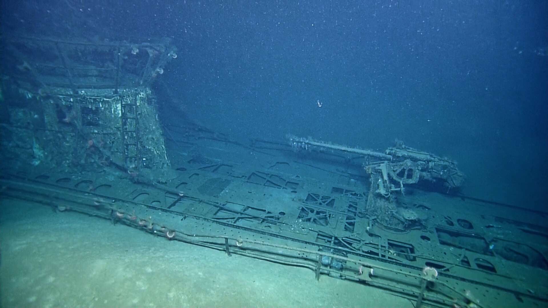 See inside a sunken Nazi-era U-boat found in the Gulf of Mexico