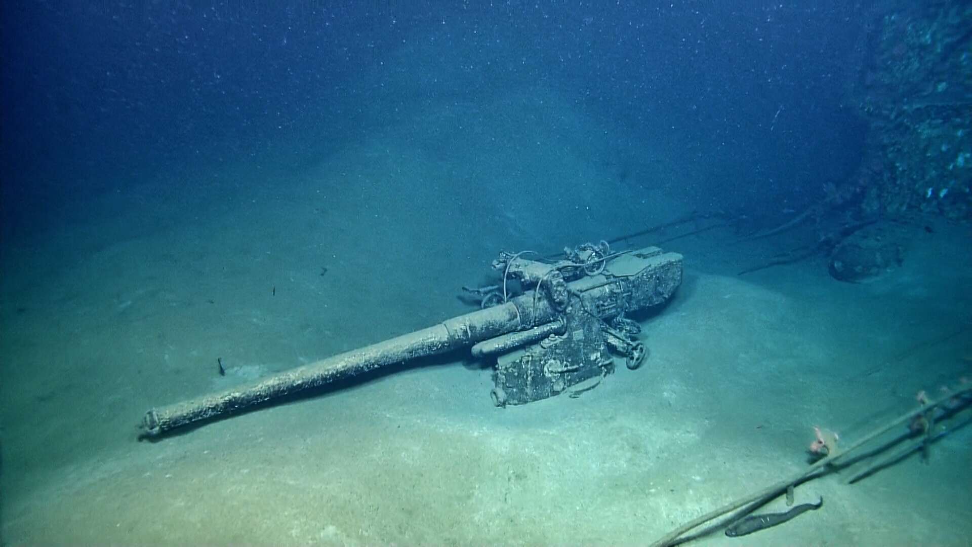 See inside a sunken Nazi-era U-boat found in the Gulf of Mexico