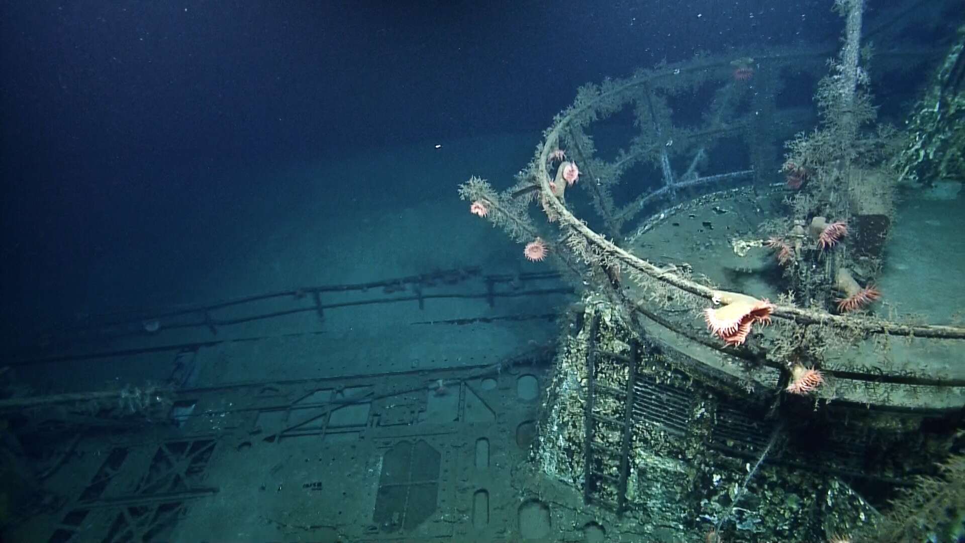 See inside a sunken Nazi-era U-boat found in the Gulf of Mexico