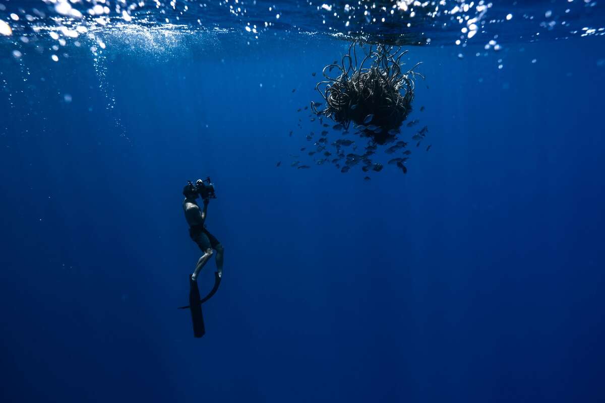This man swam through the Great Pacific Garbage Patch. His journey ends ...