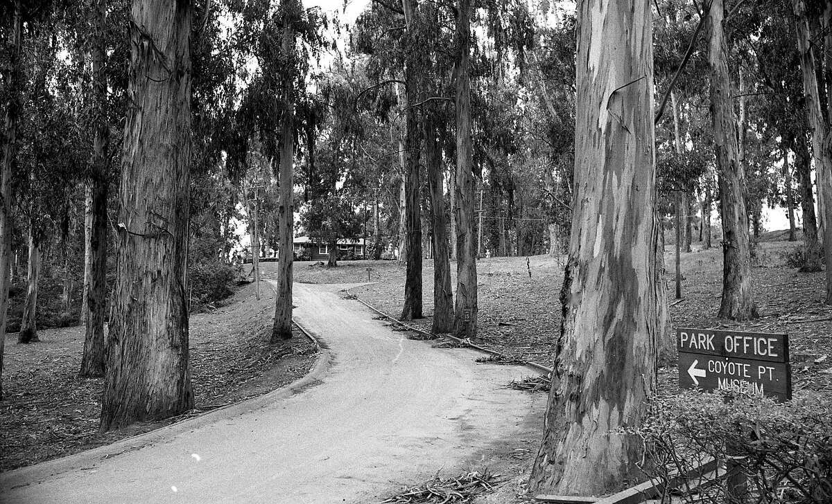 When Peninsula’s ‘Coney Island of the West’ was snuffed out by a stench