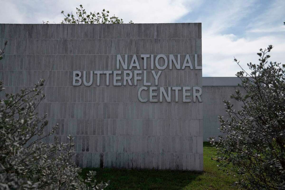 Plight of Texas’ butterflies highlighted in documentary