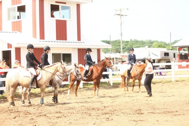 Horsing around at the Mecosta County fair