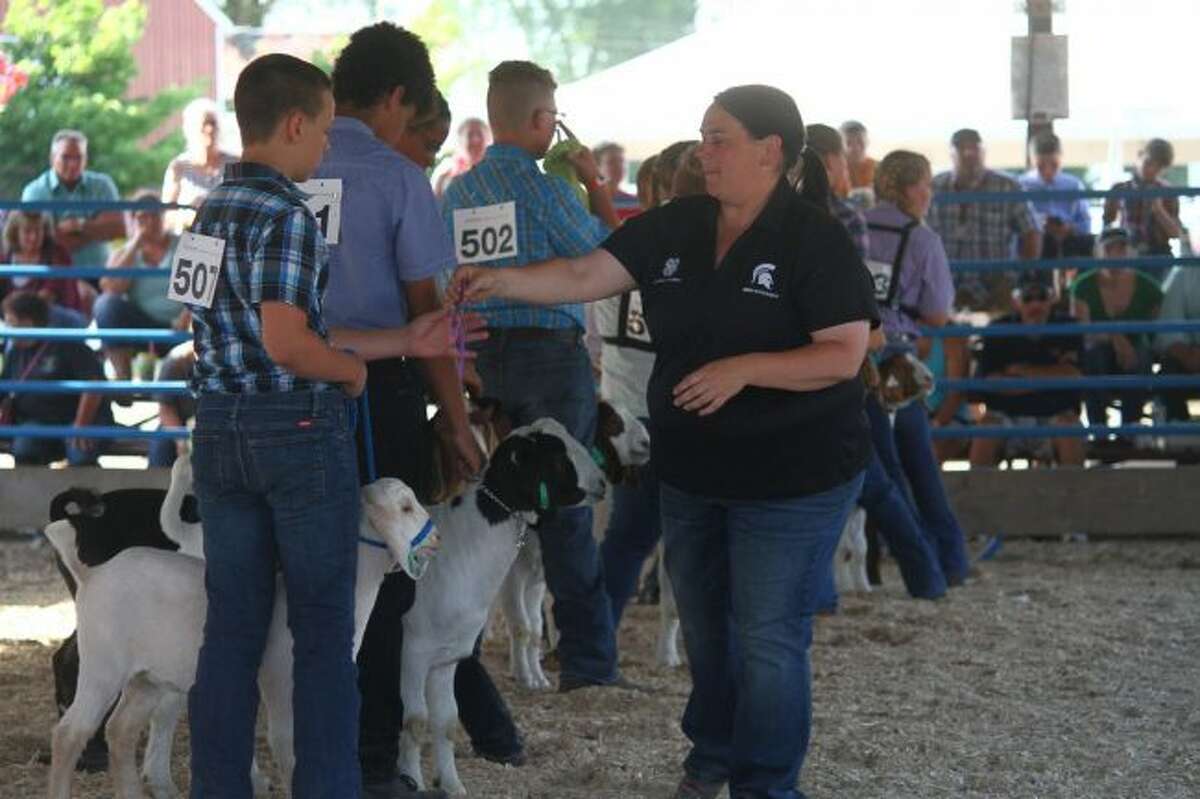Showman compete in the Market Goat Show