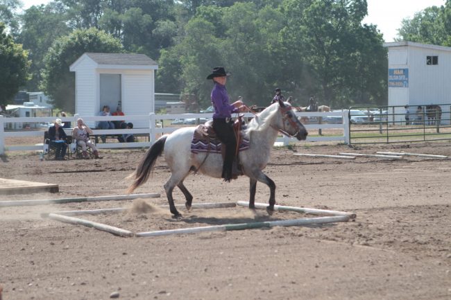 Competitors showcase skill during trail class horse show