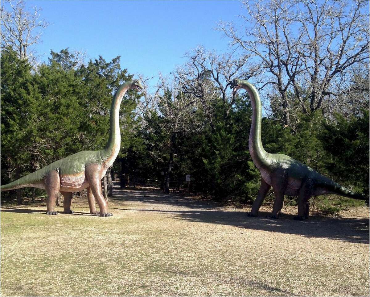 Take a tour of Dinosaur Park Texas and take your picture with a life ...