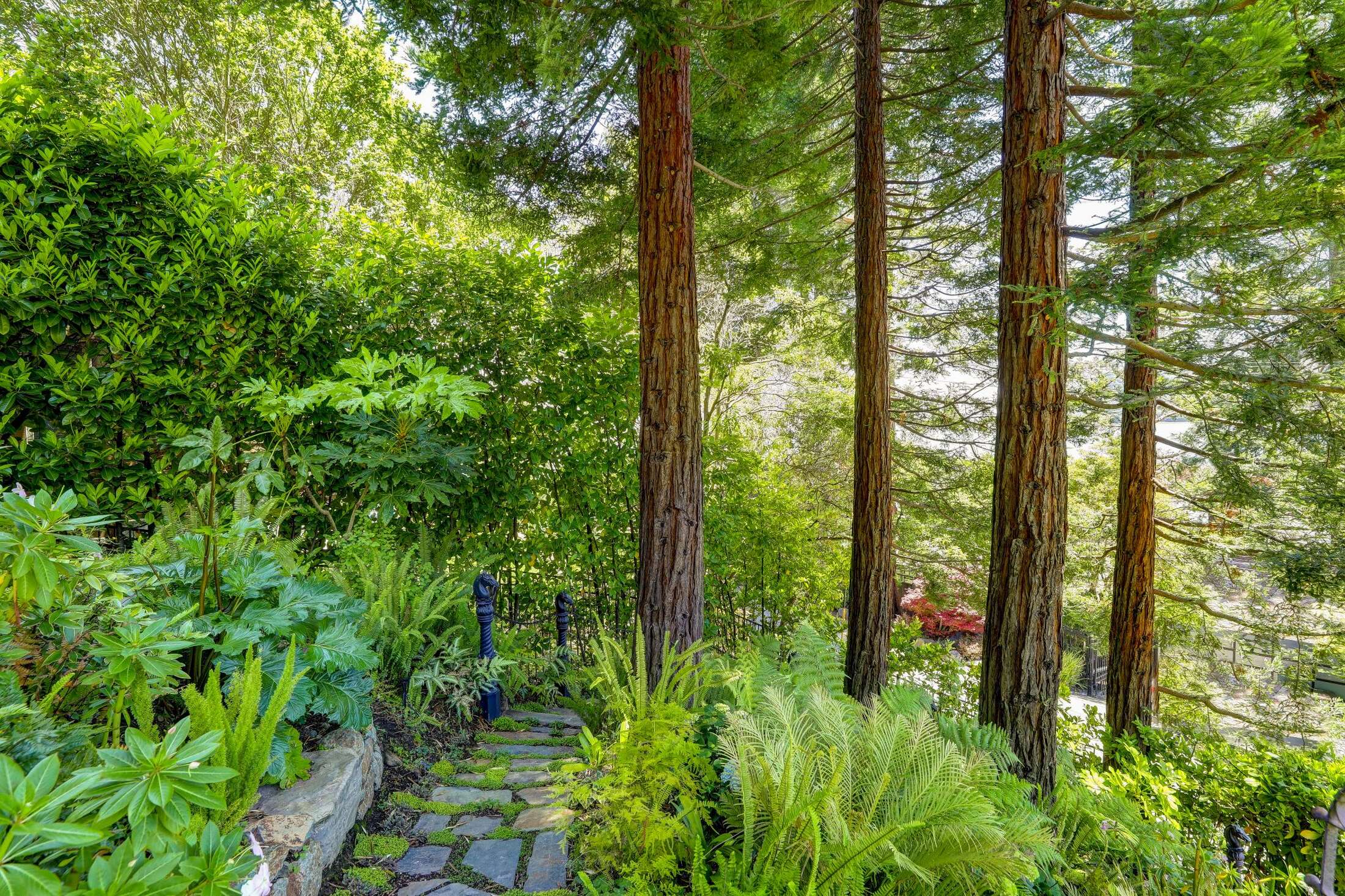 'It's like walking into a painting': $7M Tiburon house boasts garden ...