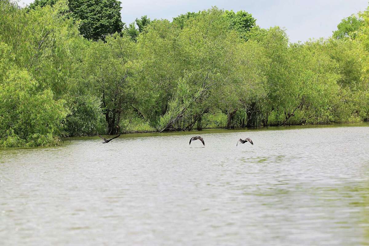 Trinity River National Wildlife Refuge accepting applications for ...