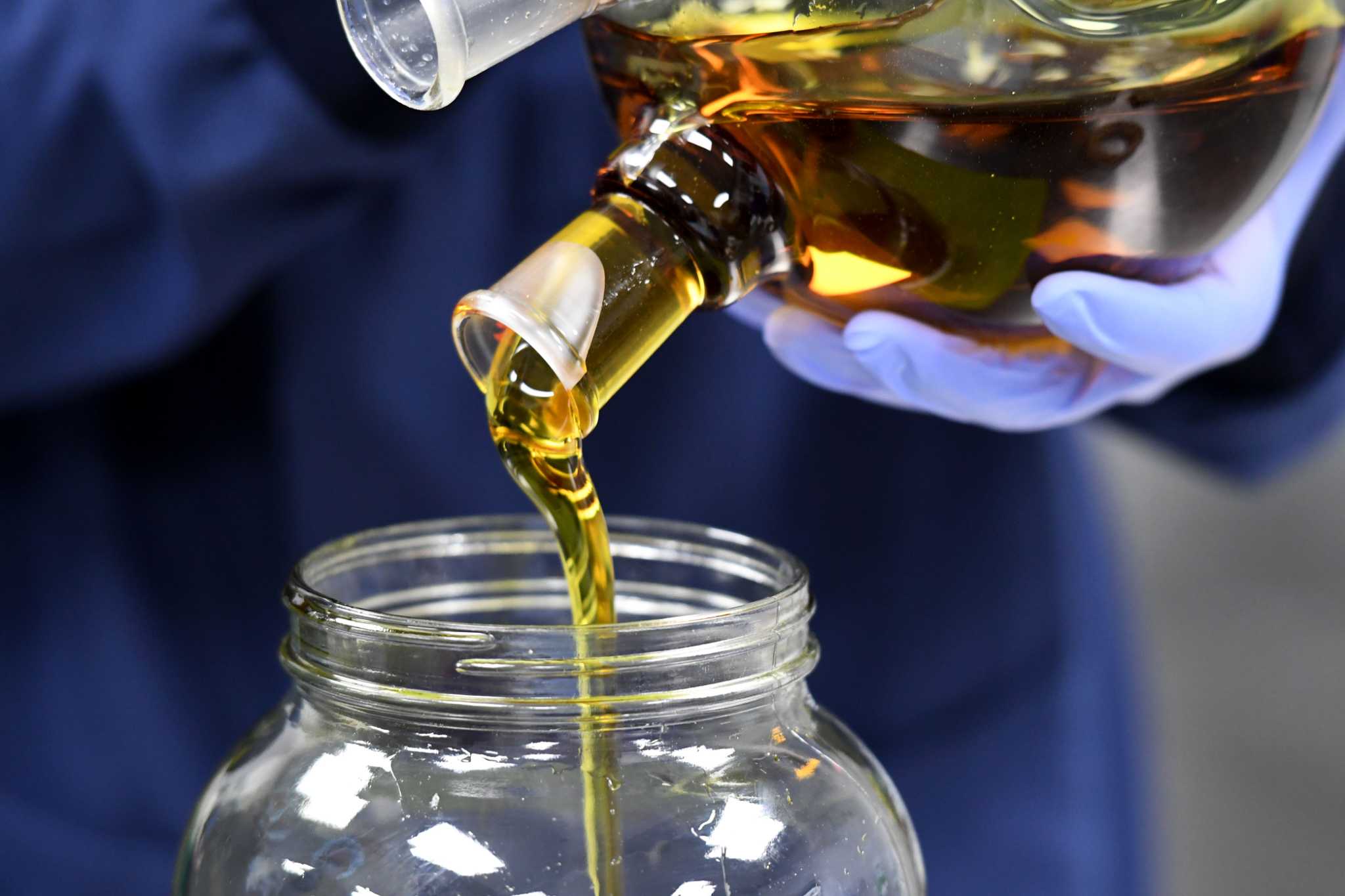 A look inside Curaleaf's medical marijuana operation in Coeymans