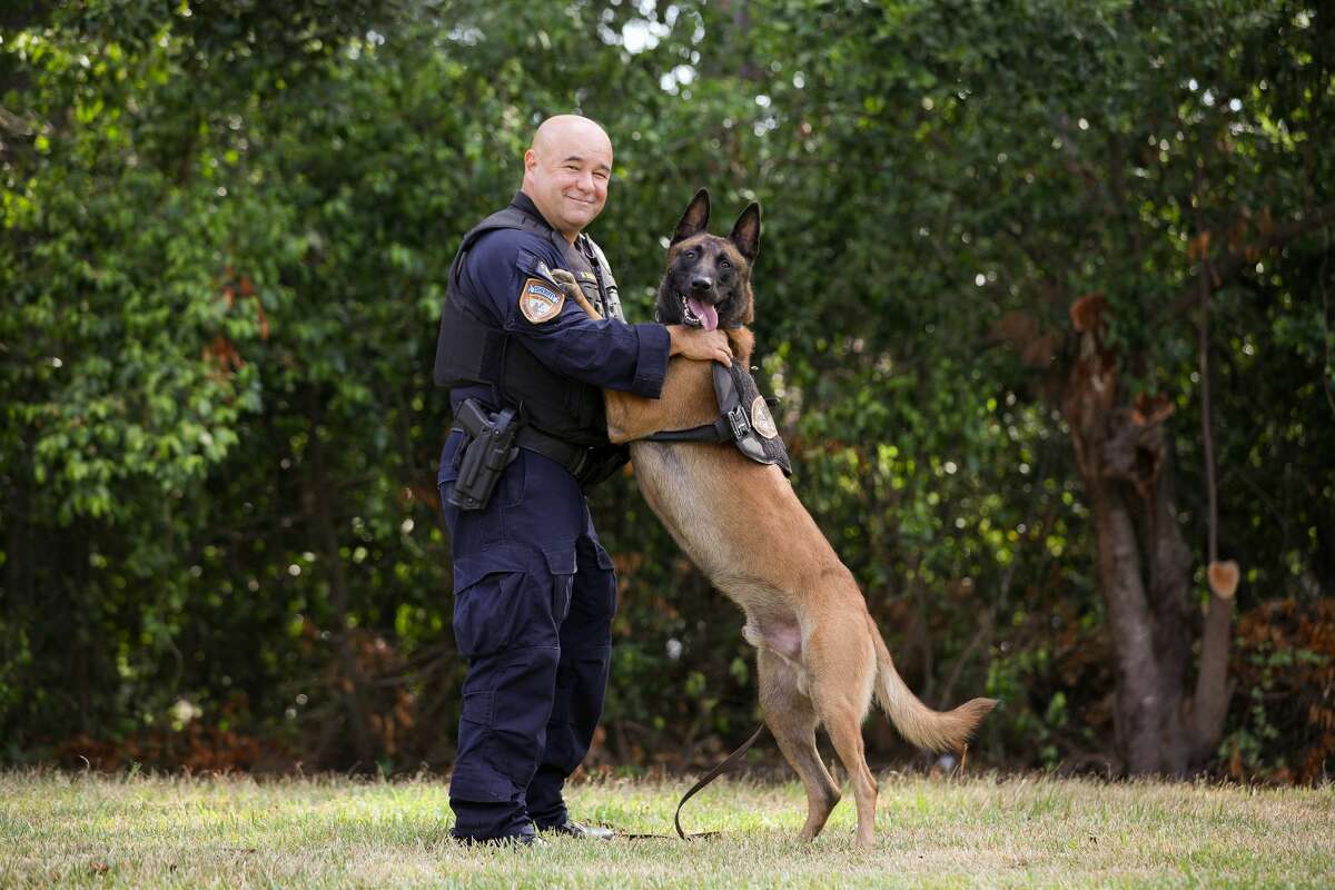 Meet the K9 police dogs who help keep Harris County safe