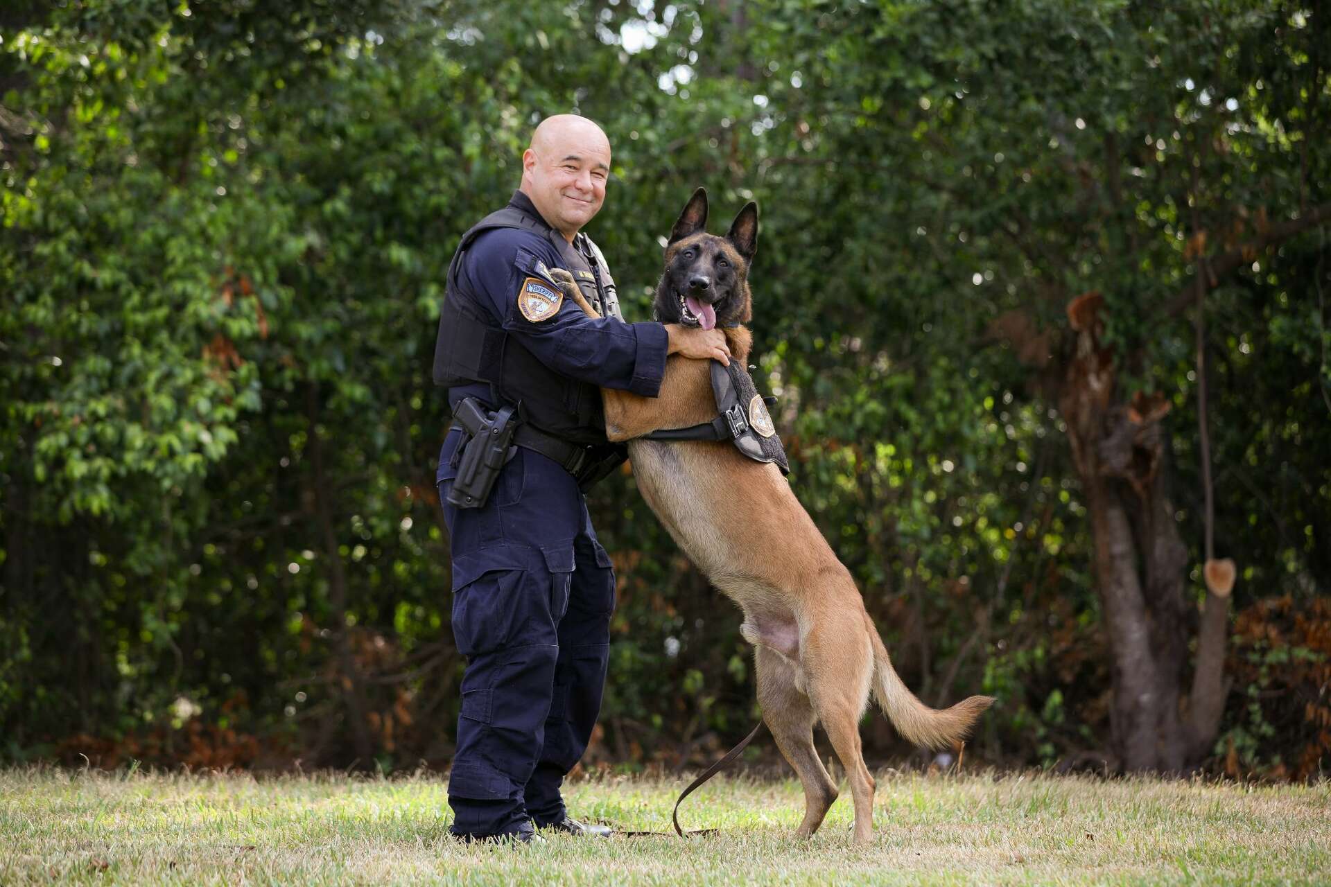 Meet the K9 police dogs who help keep Harris County safe