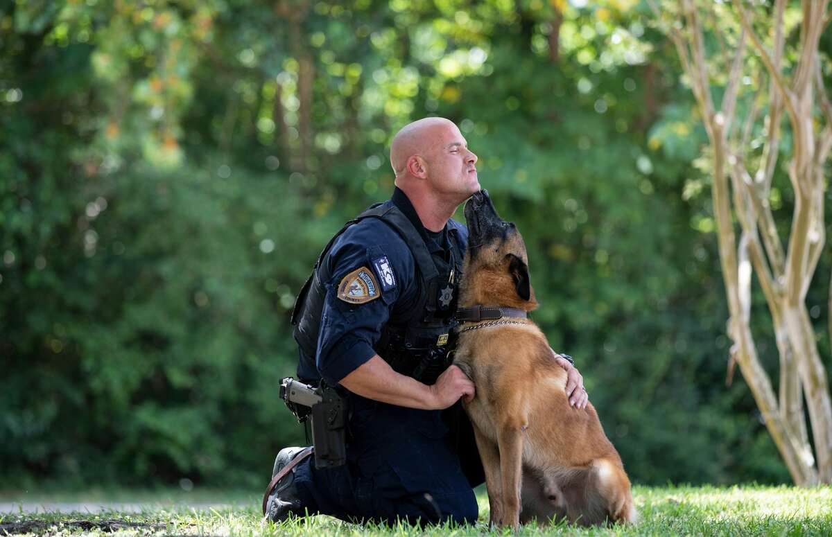 Meet the K9 police dogs who help keep Harris County safe