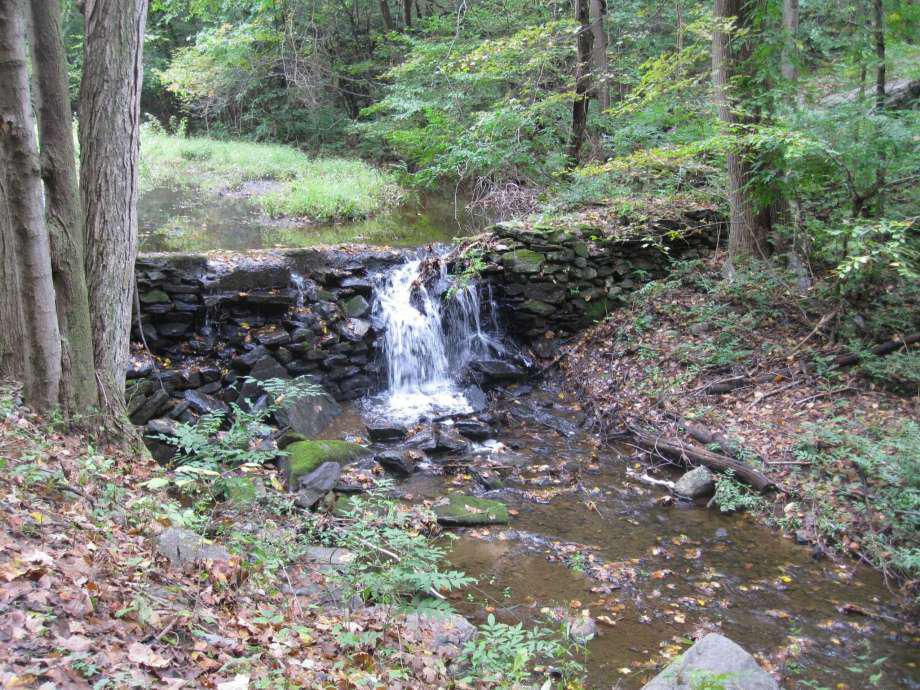 State drops charges against elderly Fairfield couple accused of lewd ...