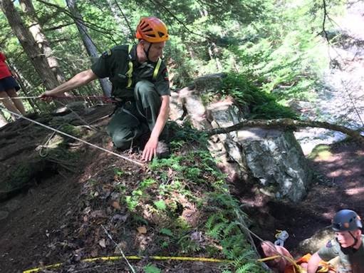 Forest rangers rescue 4 local hikers