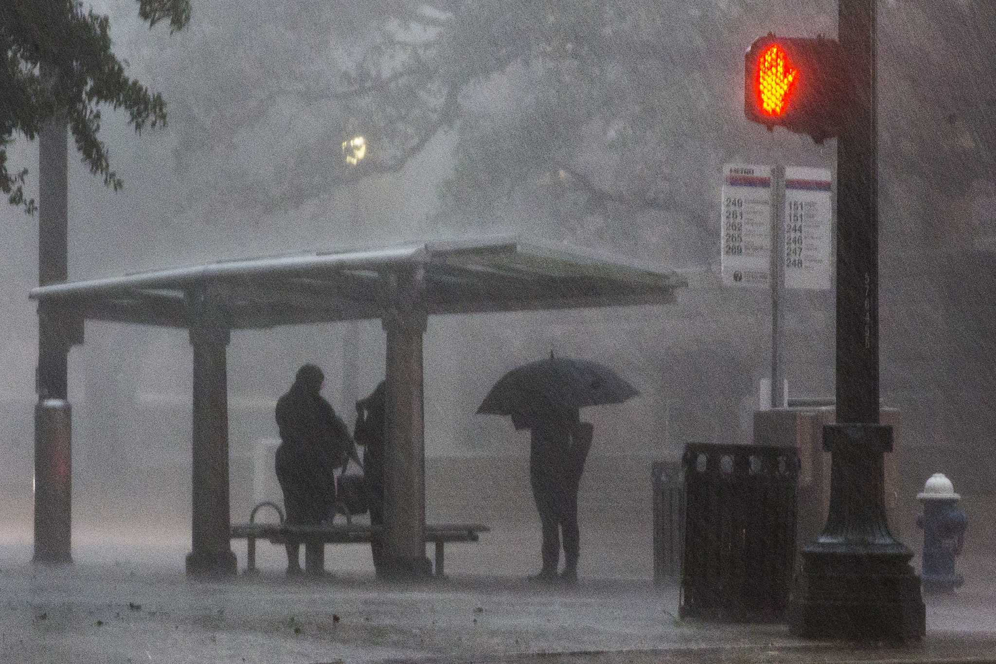 Wind damage, hail expected during thunderstorms in Houston