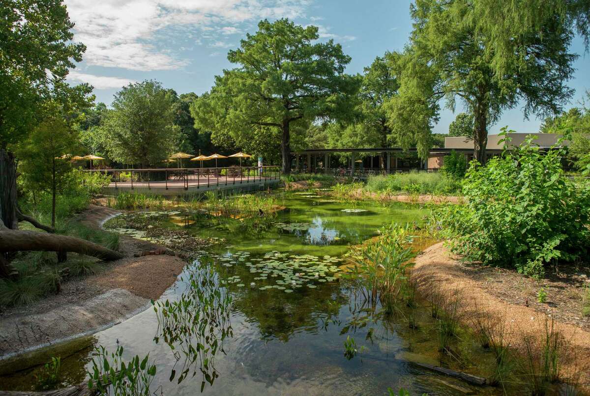 Houston Zoo eyes big changes in advance of 2022 centennial