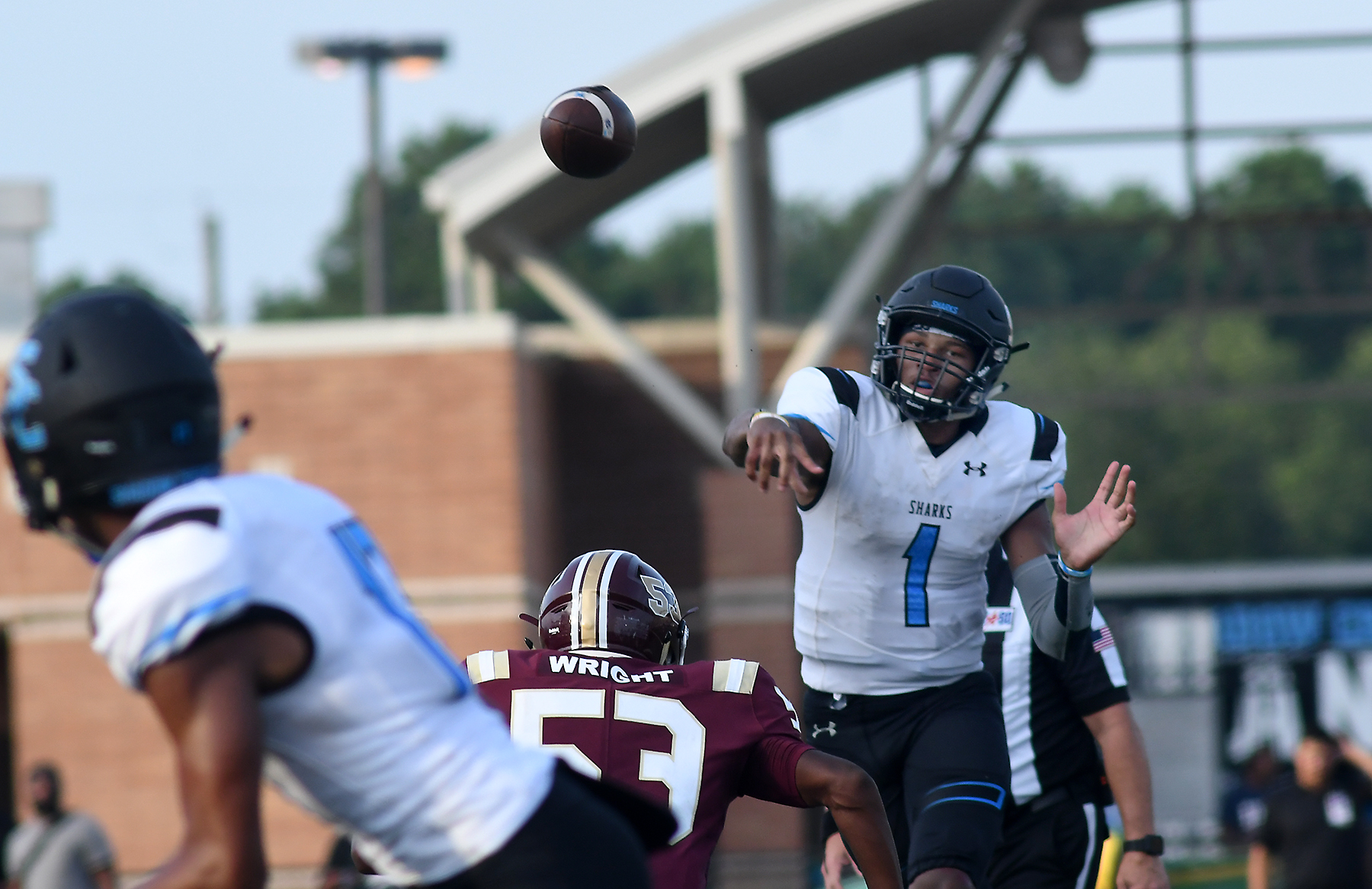 High school football: Class 5A stat leaders