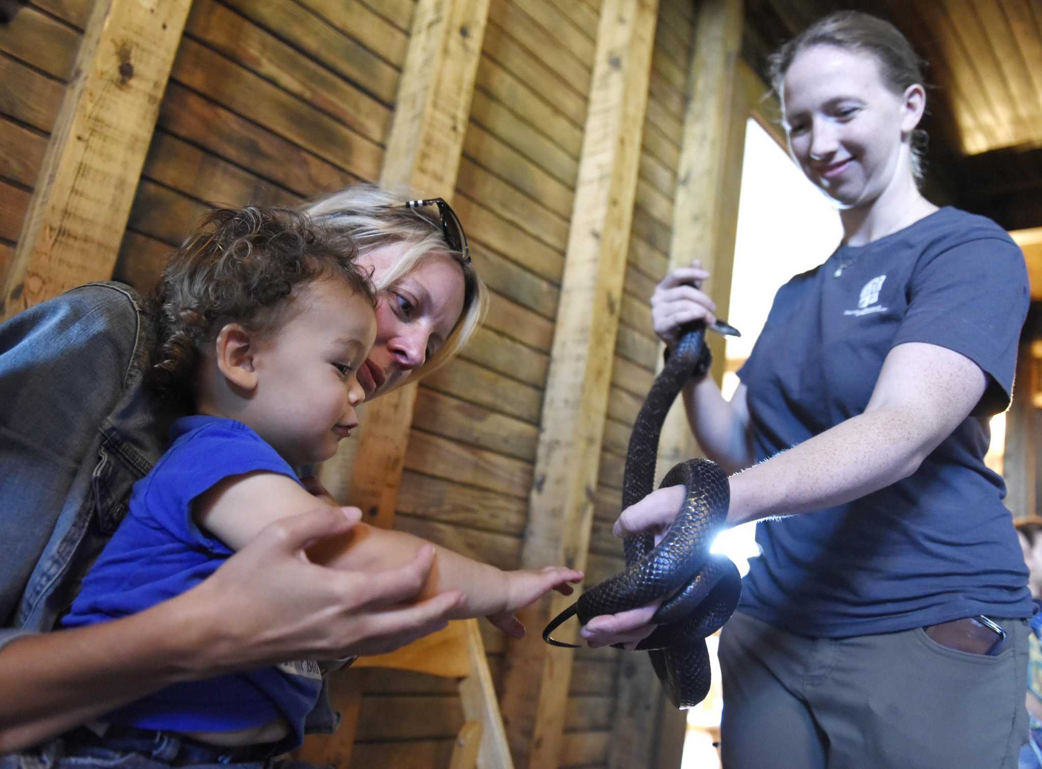 Critters come to First Sunday Science