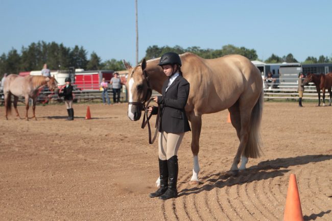 Horse classes continue at fair with English showmanship