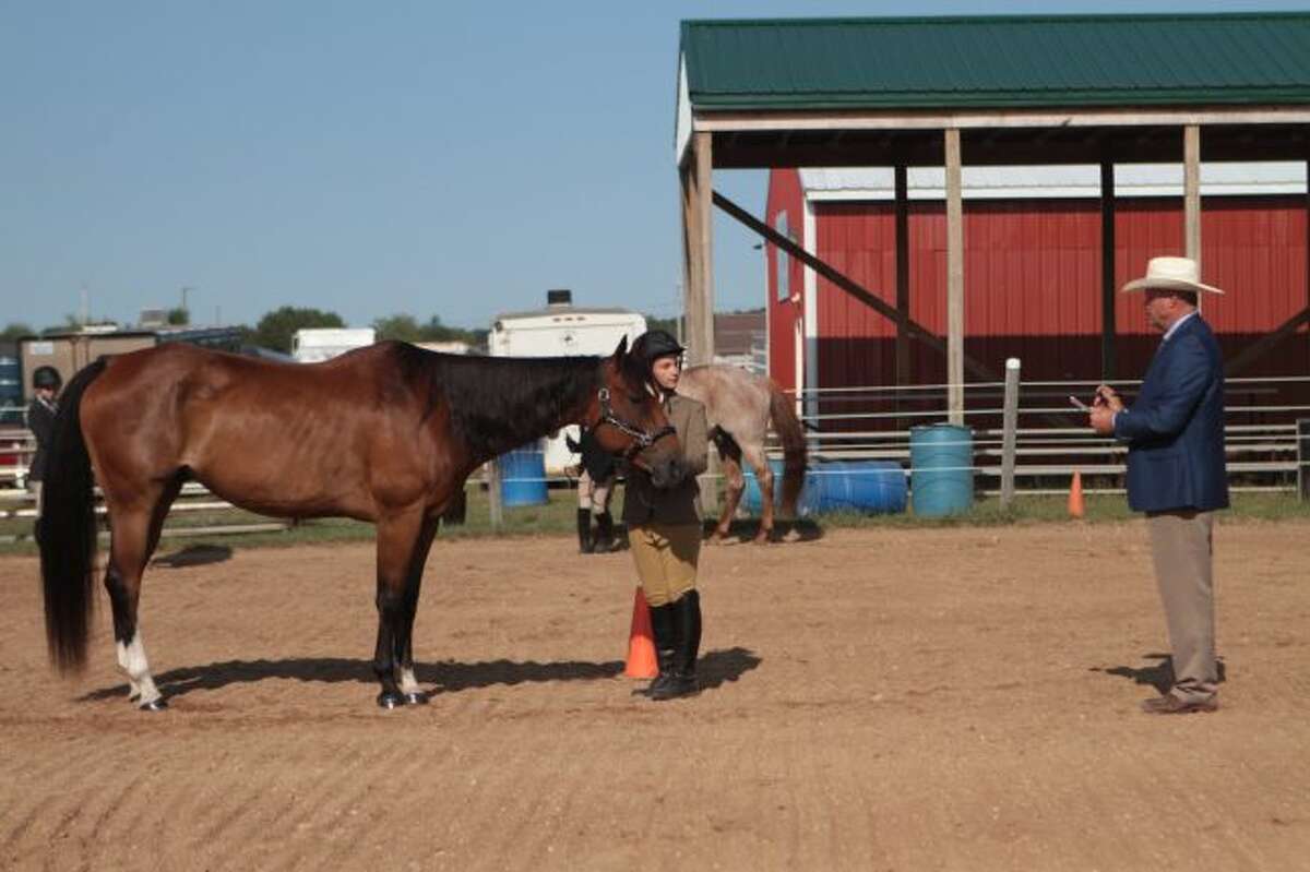Horse classes continue at fair with English showmanship