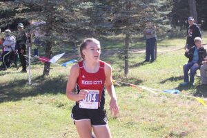 Reed City cross country teams eye more success