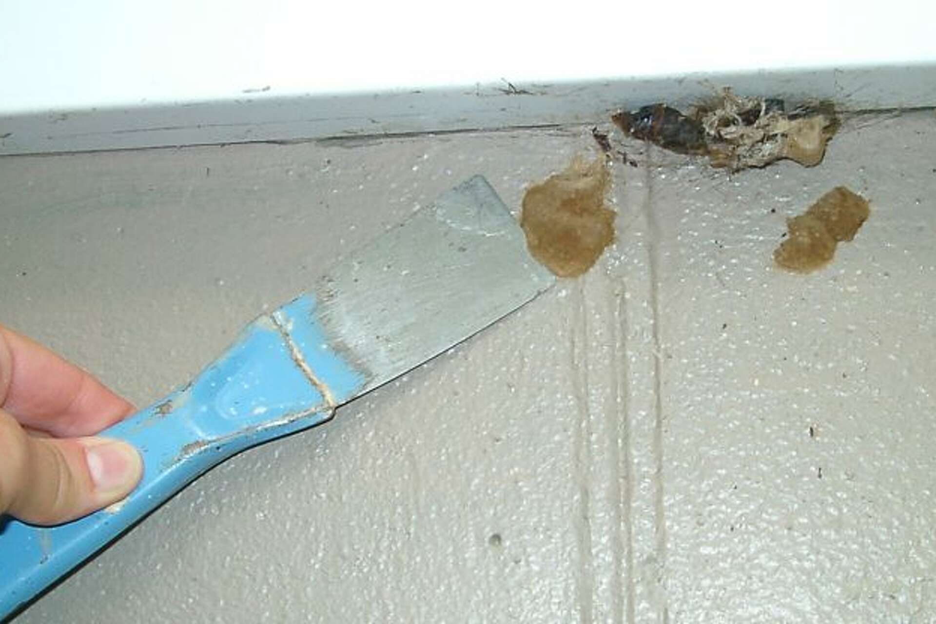 How to handle gypsy moth outbreaks in Michigan