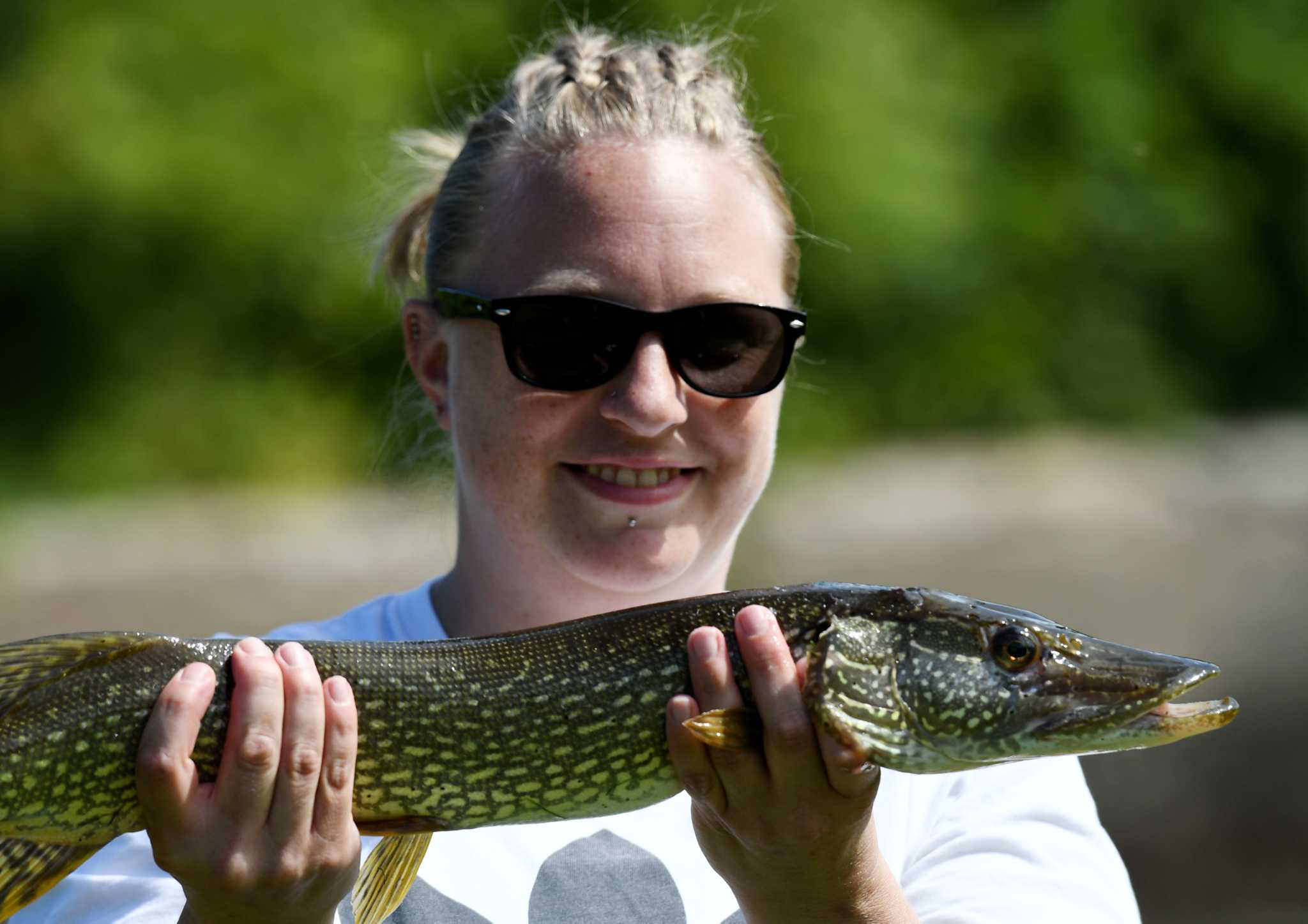 Nicholas Spink's Instagram, Twitter & Facebook on IDCrawl