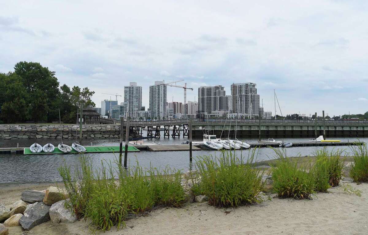 Lease for Stamford park spurs questions about role of reps