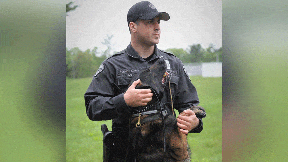 Police: K-9 stabbed in head with screwdriver multiple times by man