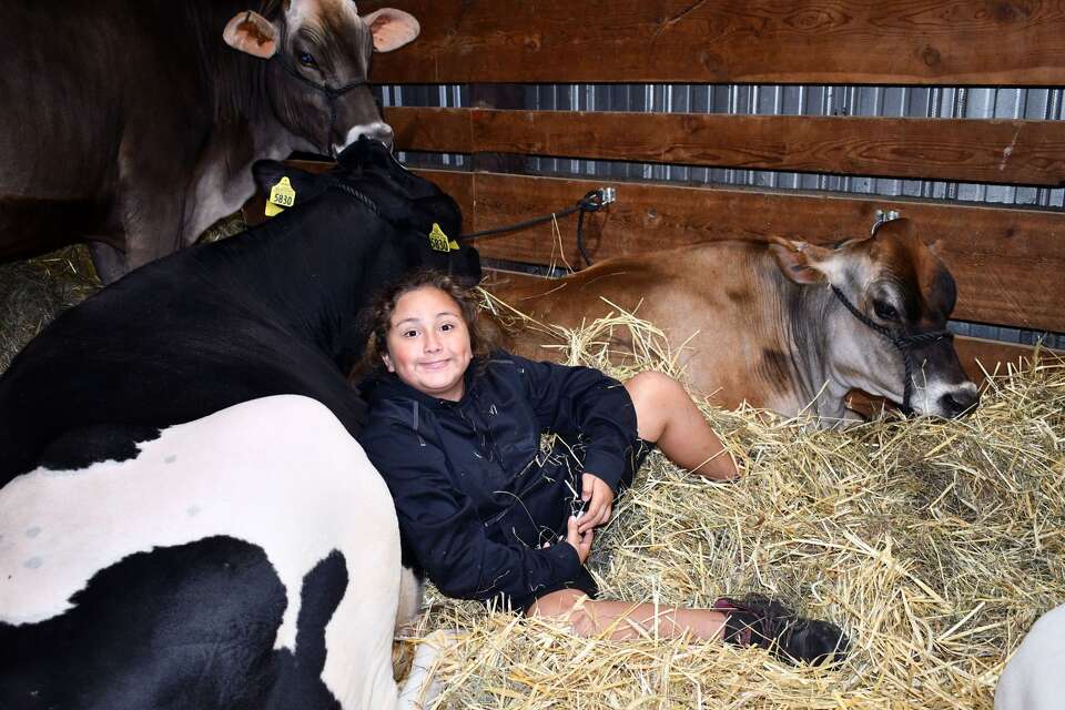 CT country fairs and festivals to check out in summer and fall 2025