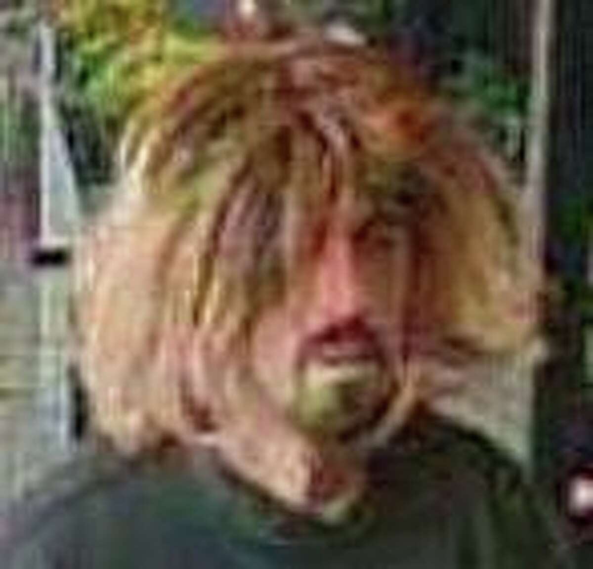 Cops seeking wig-wearing bank robber