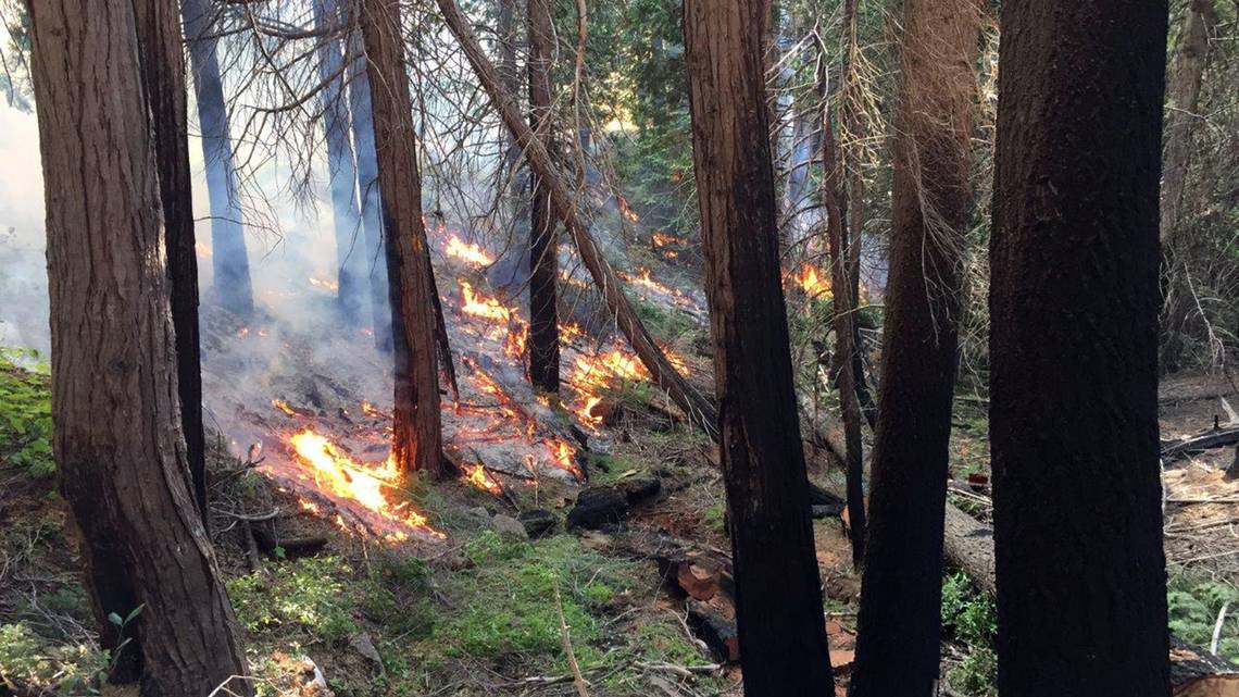 Mysterious underground fire has been burning near Yosemite for 5 years