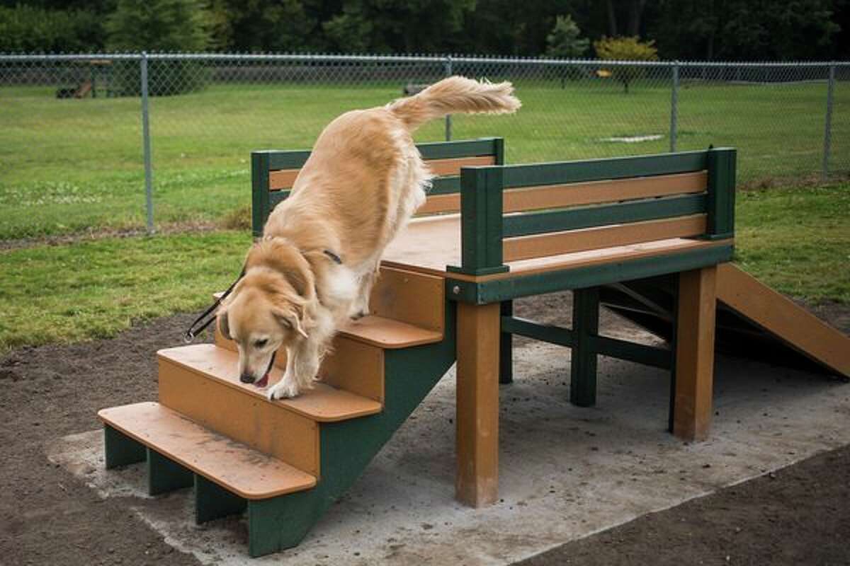 New features installed at Midland Dog Park