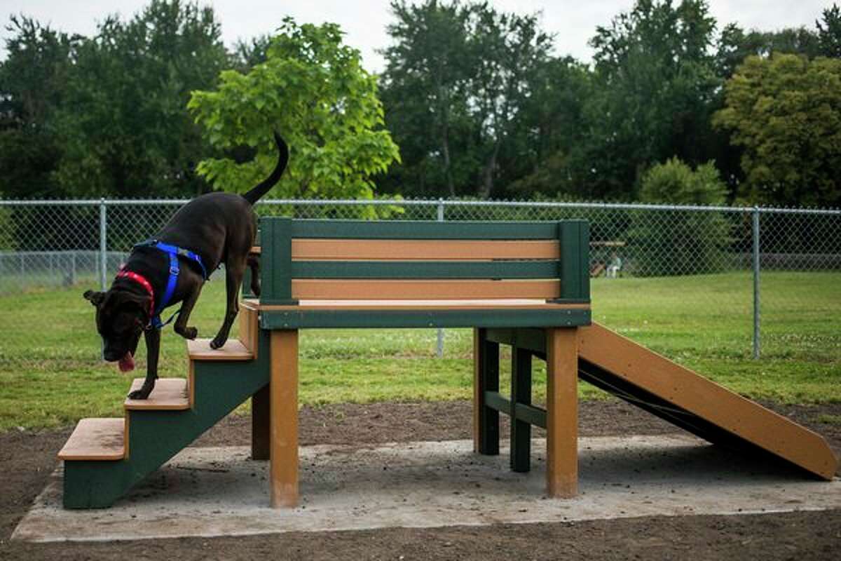 New features installed at Midland Dog Park