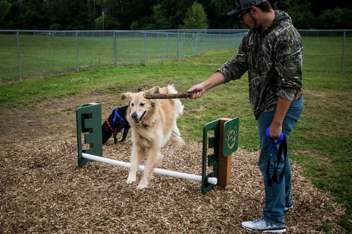 New features installed at Midland Dog Park