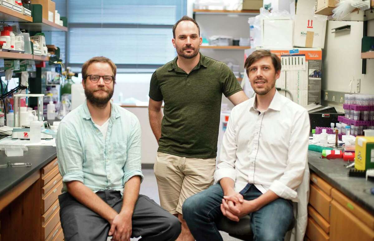 Rice University research seeks brain-to-brain communication