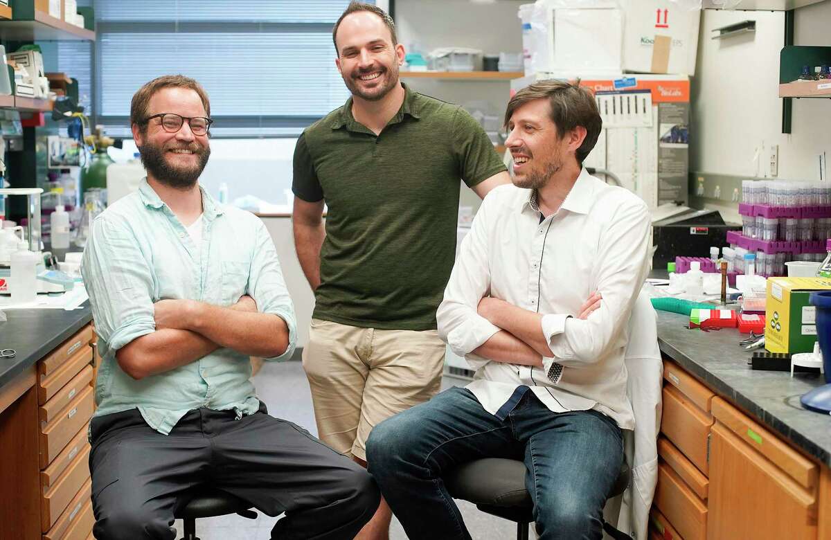 Rice University research seeks brain-to-brain communication