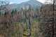 Giant sequoias — long survivors of the forest — succumbing to climate ...