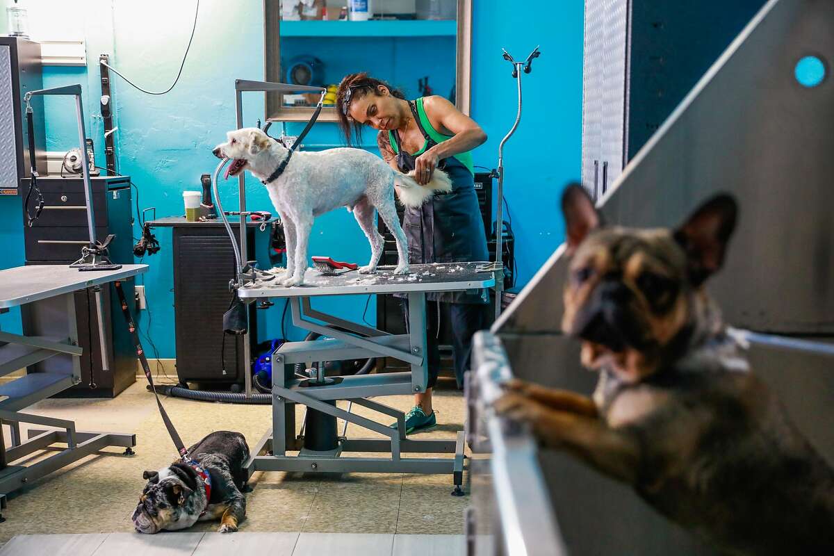 New vision for two megaprojects: One development of almost 4,000 homes ...