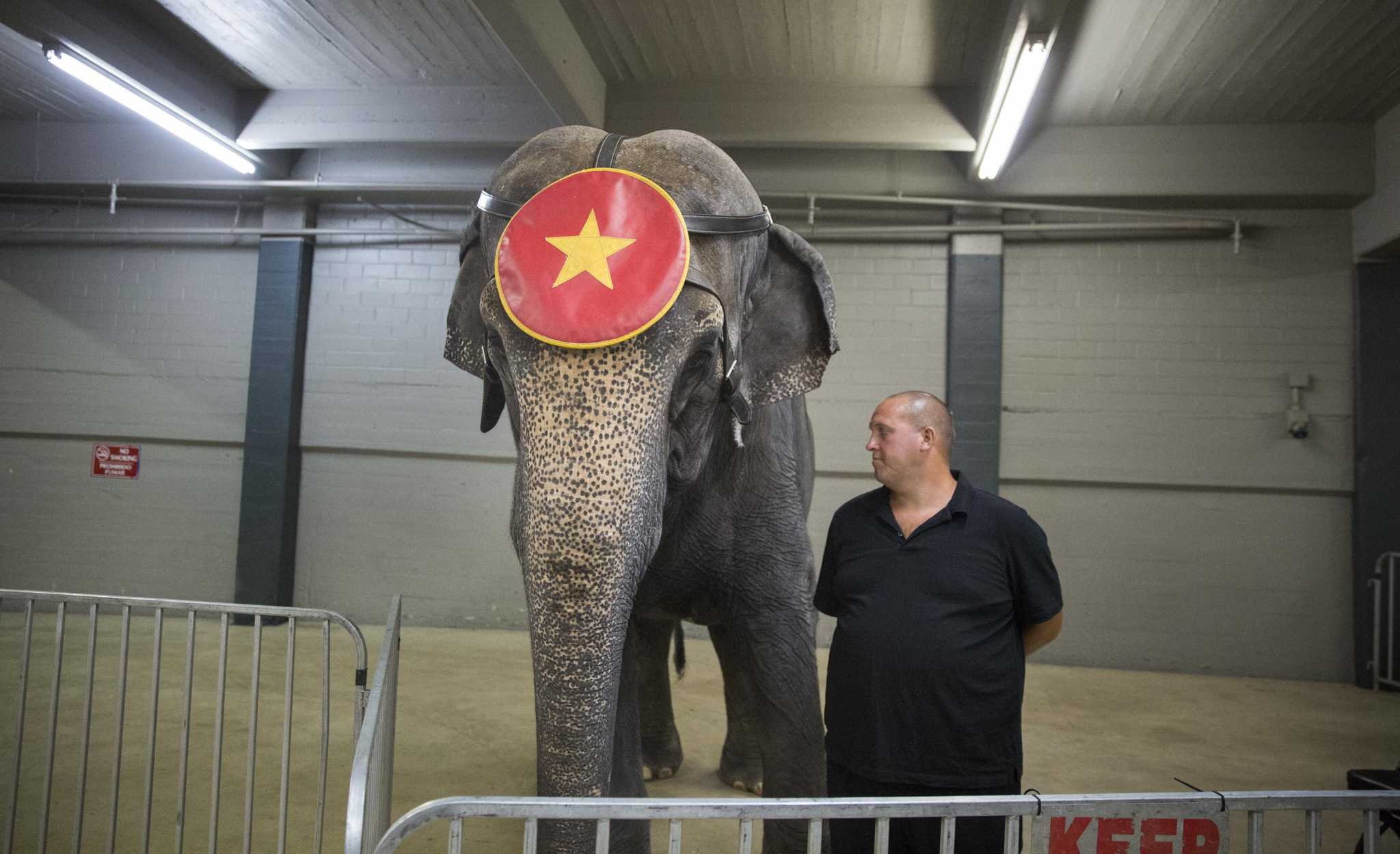 An unspoken bond between trainers and their circus animals