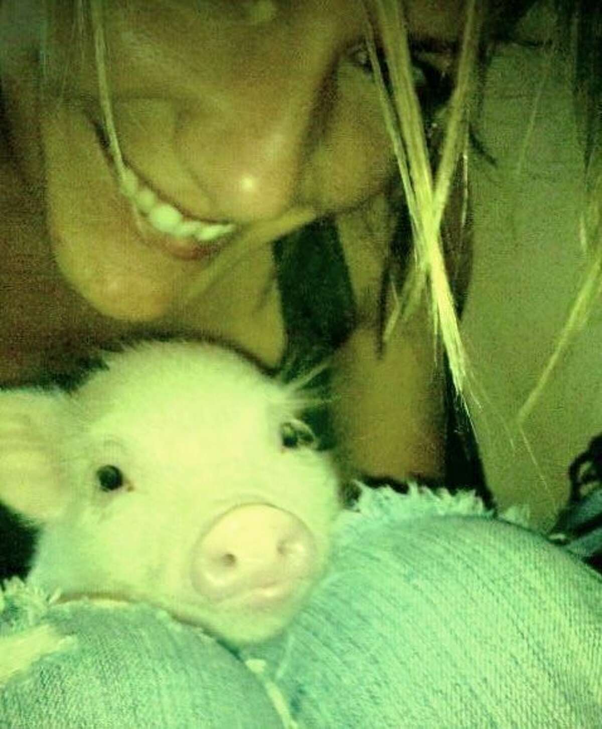 20 things you don't know about me: Alison Raynor