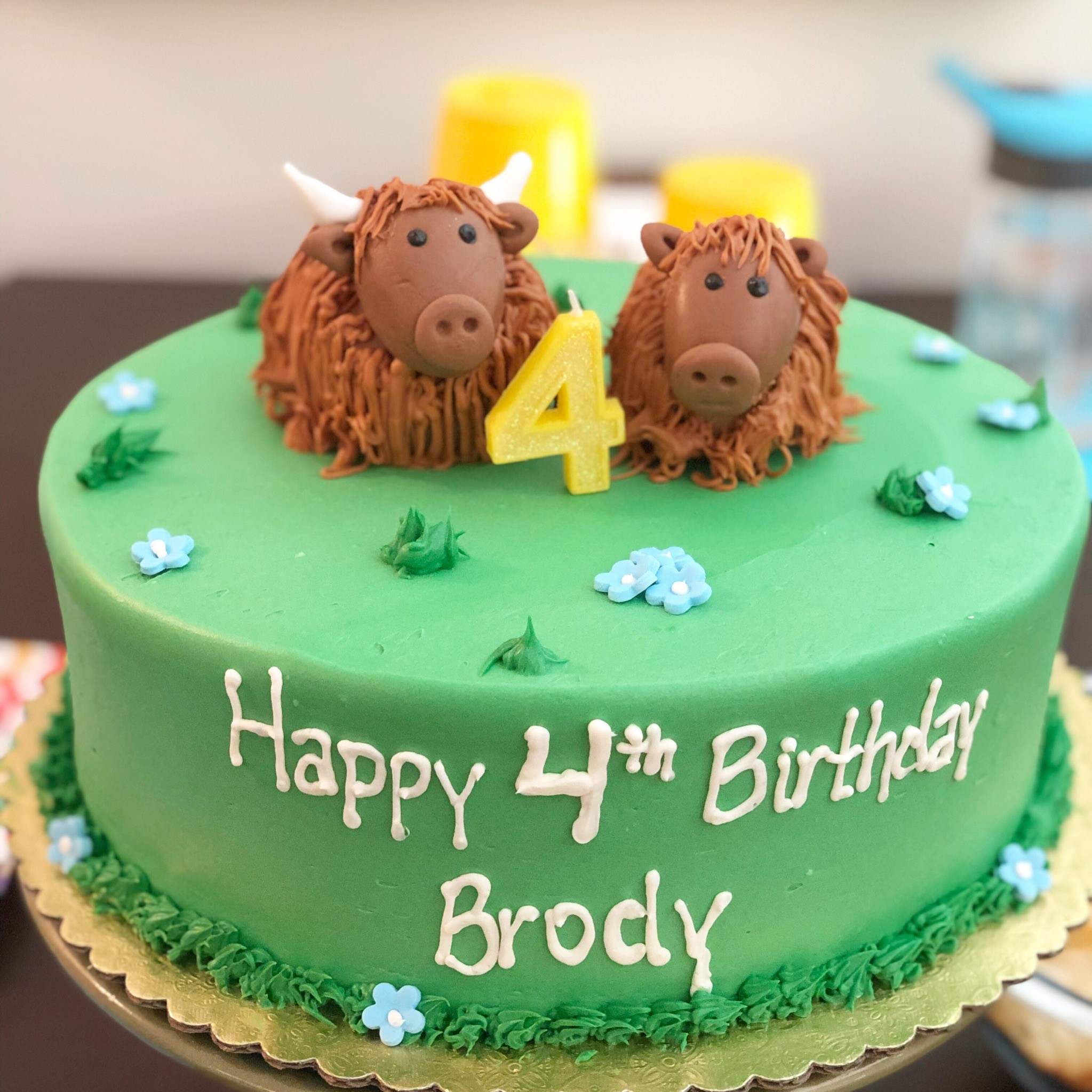 20 things you don't know about me: Alison Raynor