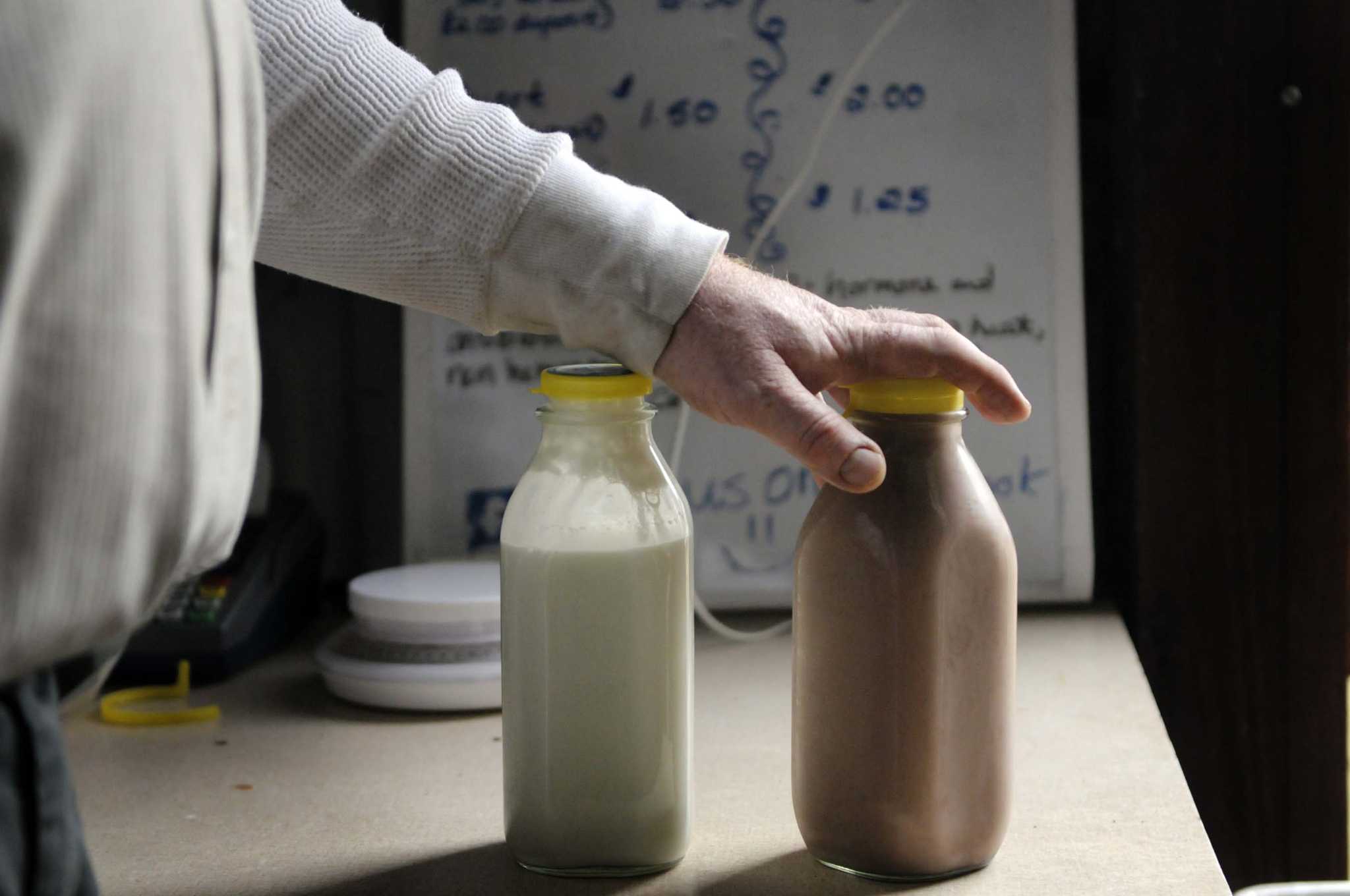 Small local dairy farms find success