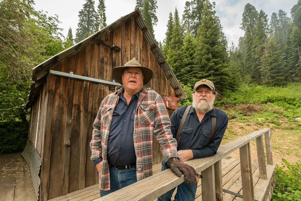 Biggest private sequoia grove to be preserved in deal with Redwoods League