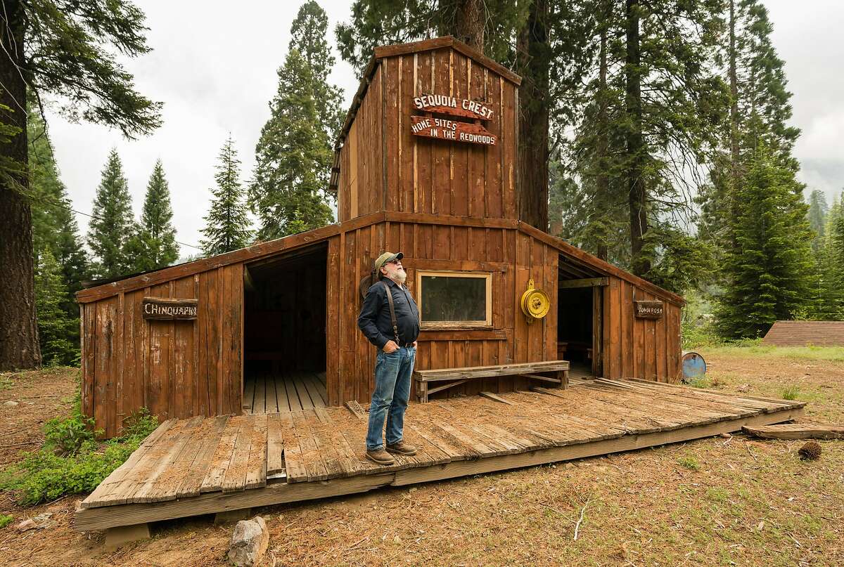 Biggest private sequoia grove to be preserved in deal with Redwoods League