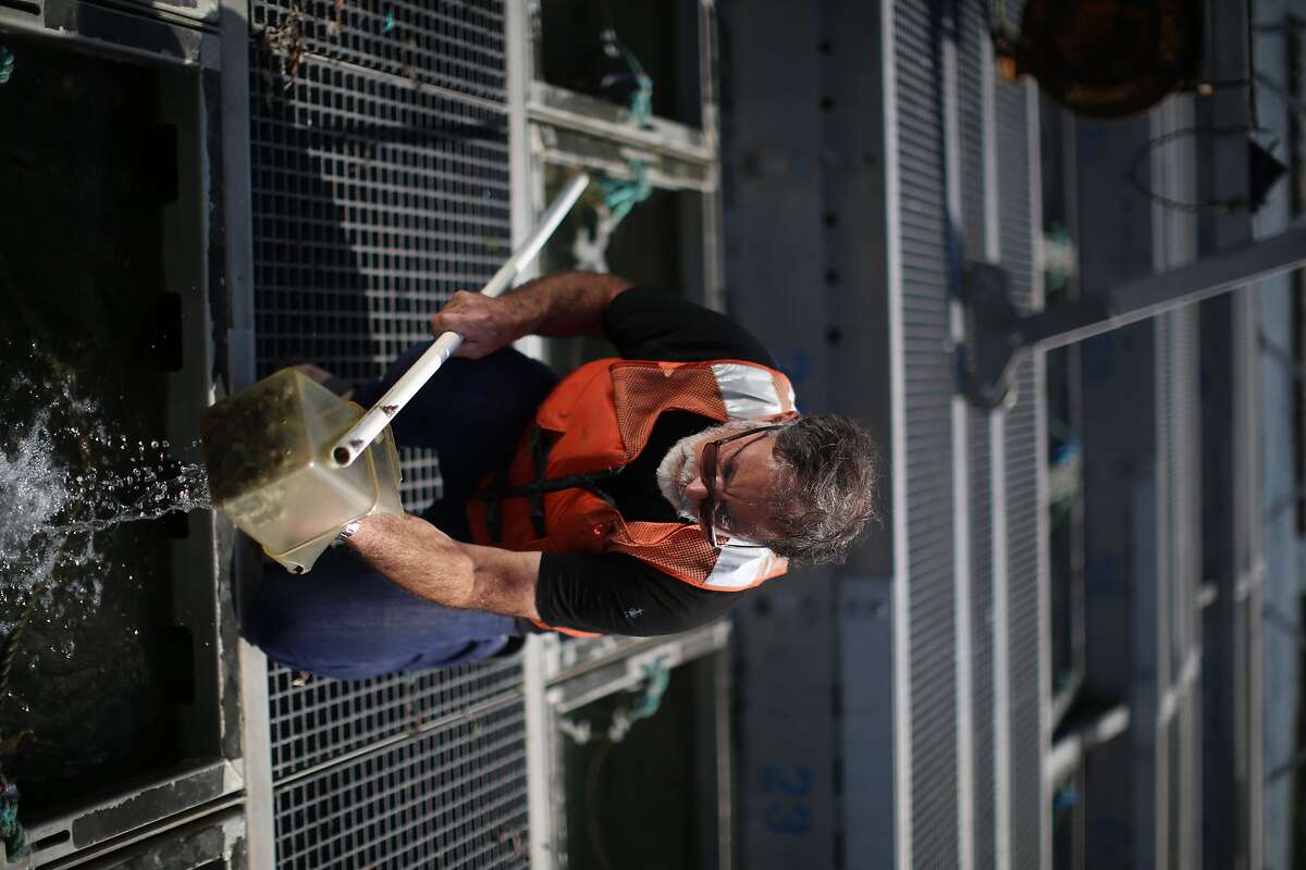 Progress on climate change is happening — everywhere but Washington