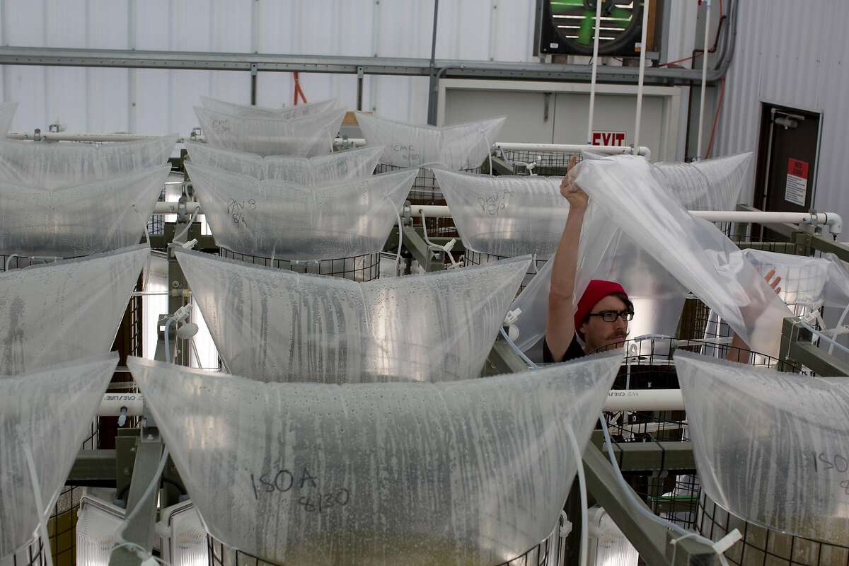 Progress on climate change is happening — everywhere but Washington