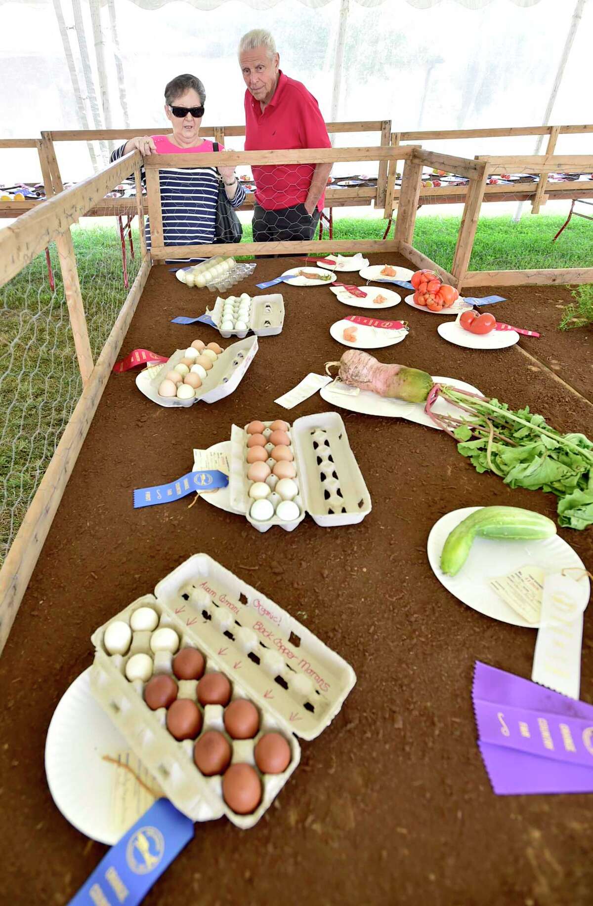 Guide to Connecticut's 2021 state fairs